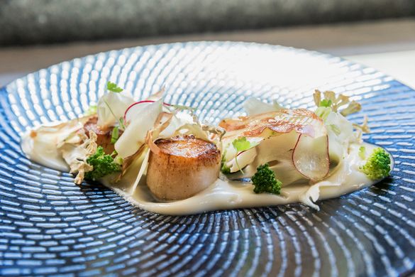 Preview: ABODE Bistro & Bar Unveils a Refreshing Paddock-to-Plate ...