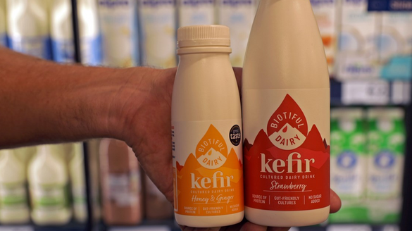Preview: Not Just a Gut Reaction as Sales of Ancient Milk Drink Kefir ...